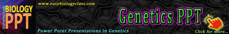 Genetics Ppt Easybiologyclass