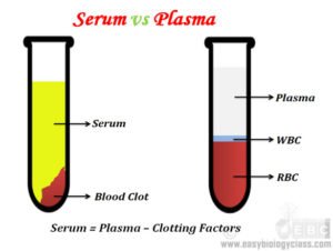 Difference between Plasma and Serum | EasyBiologyClass