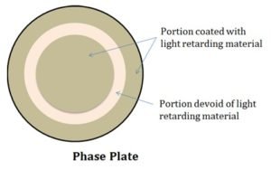 Working Principle of Phase Contrast Microscope | EasyBiologyClass
