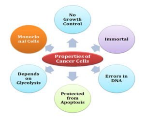 Characteristics of Cancer Cells | EasyBiologyClass