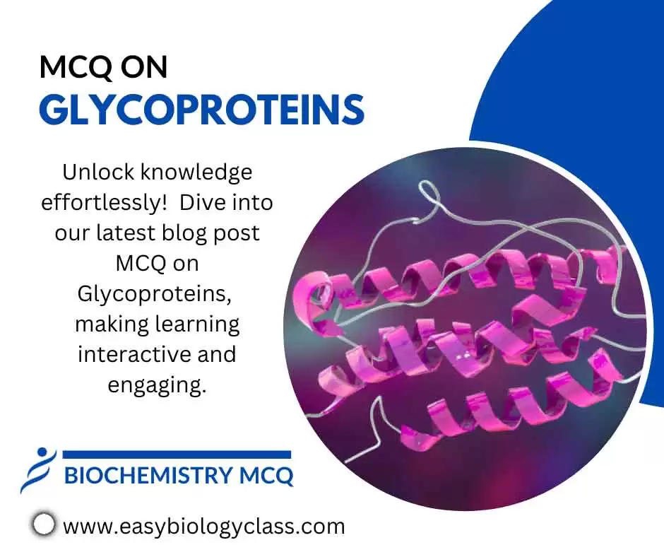 Glycoprotein Molecule Glycoprotein Structure An Overview