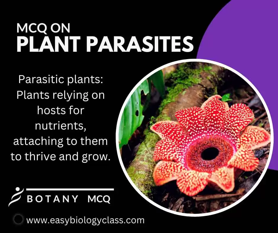 Parasitism In Plants