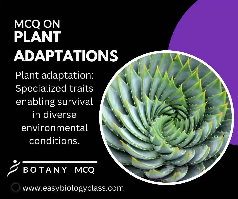 Ecological Adaptations Of Hydrophytes Ppt By Easybiologyclass