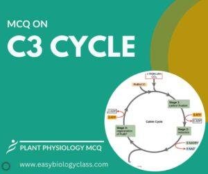 MCQ on C3 Cycle | EasyBiologyClass
