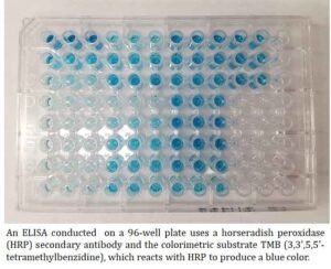 ELISA Short Notes | EasyBiologyClass