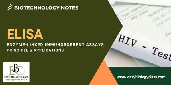 ELISA Short Notes | EasyBiologyClass