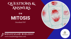 Mitosis Questions and Answers | EasyBiologyClass
