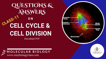 Cell Cycle and Cell Division Class 11 Questions and Answers ...