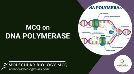 MCQ on DNA Polymerase | EasyBiologyClass