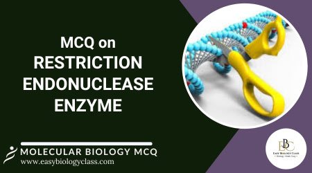 MCQ on Restriction Endonuclease | EasyBiologyClass