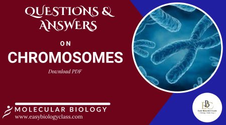 Chromosomes Questions and Answers | EasyBiologyClass