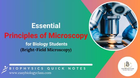 Principles of Microscopy for Biology Students: A Beginner’s Guide ...